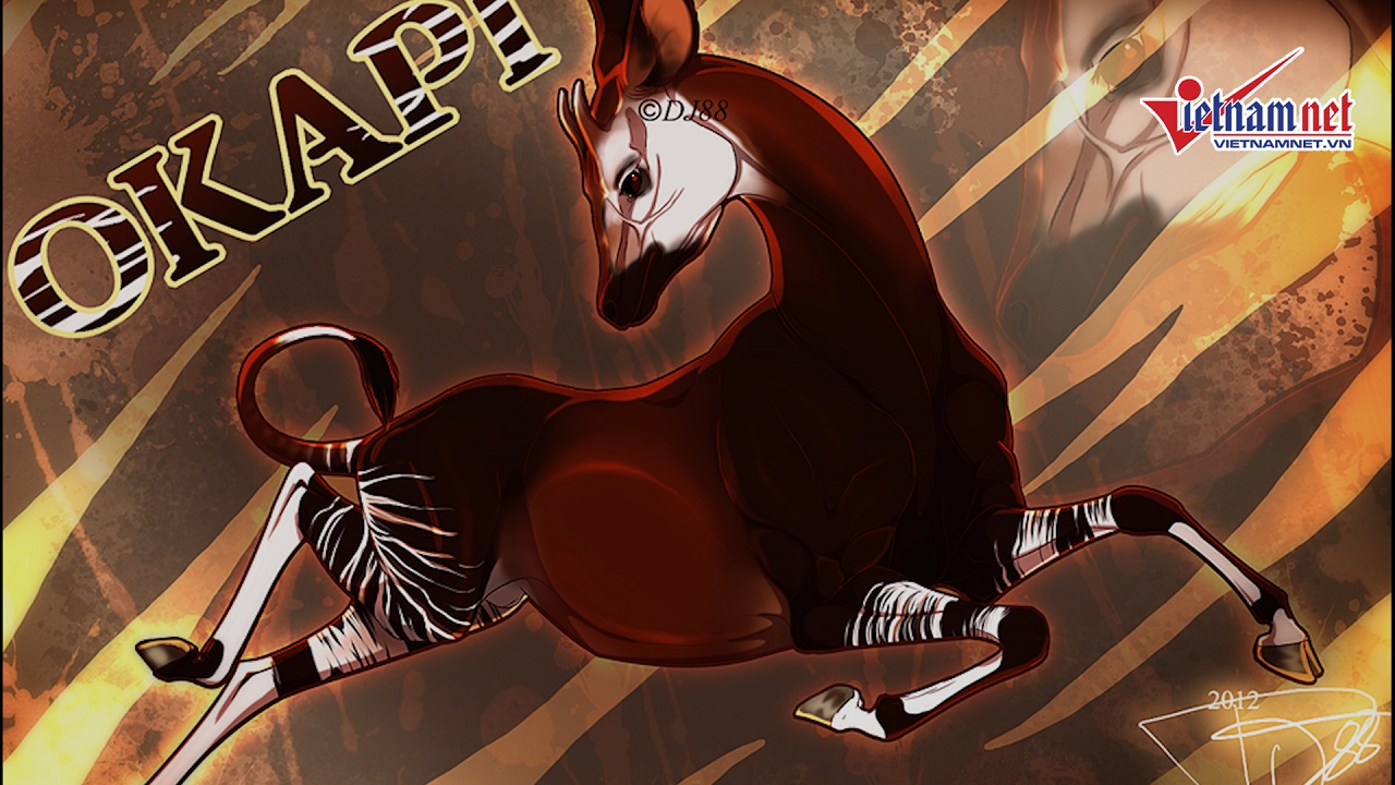 Okapi, loài động vật kỳ lạ bước ra từ chuyện cổ tích